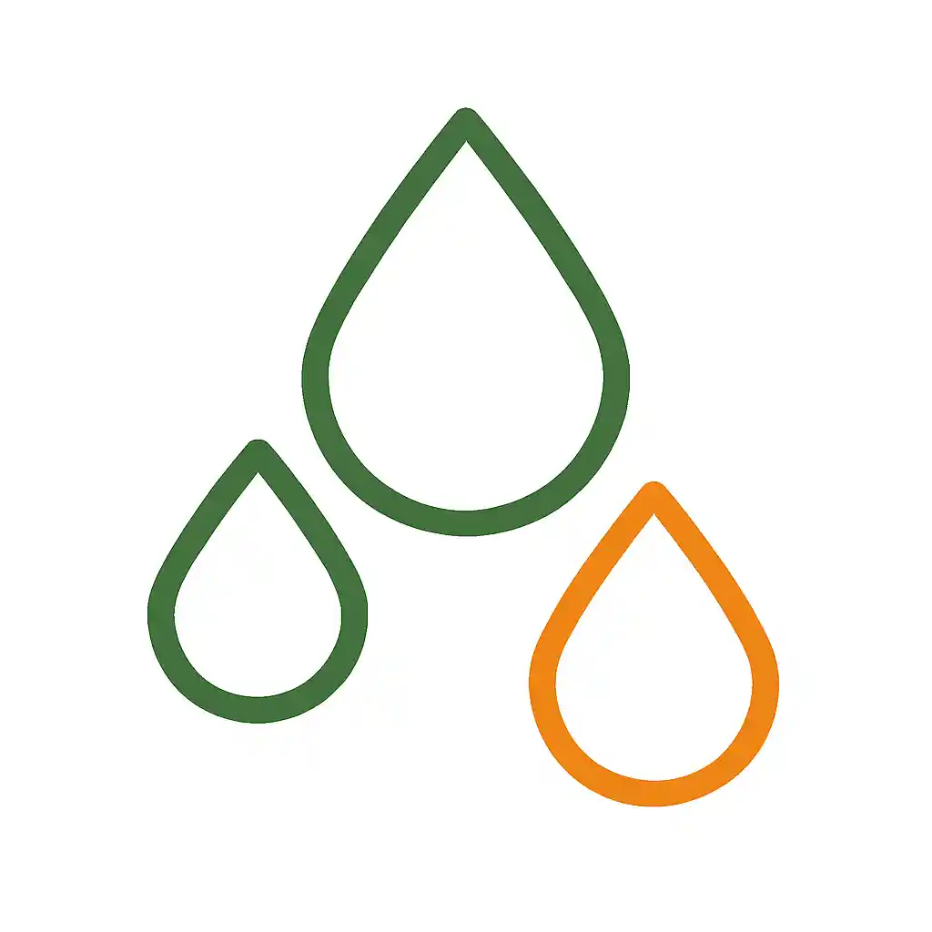 Holly Bush - Festive Foliage with Red Berries